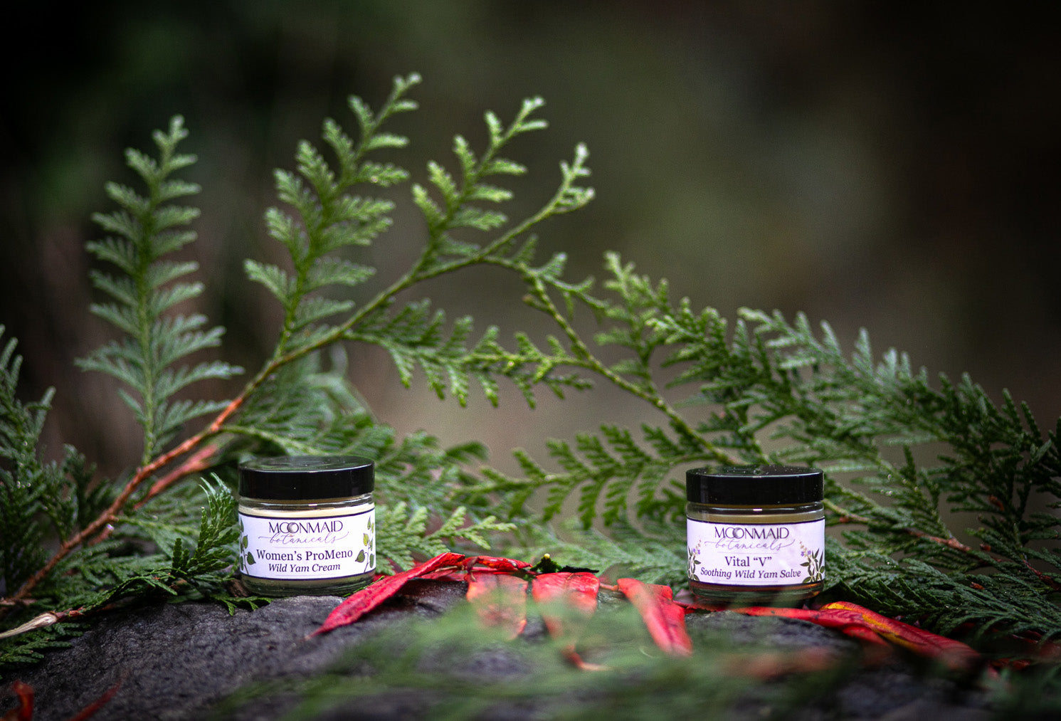 MoonMaid Botanicals | Wild Yam Cream for Hormone Imbalance & Wellness